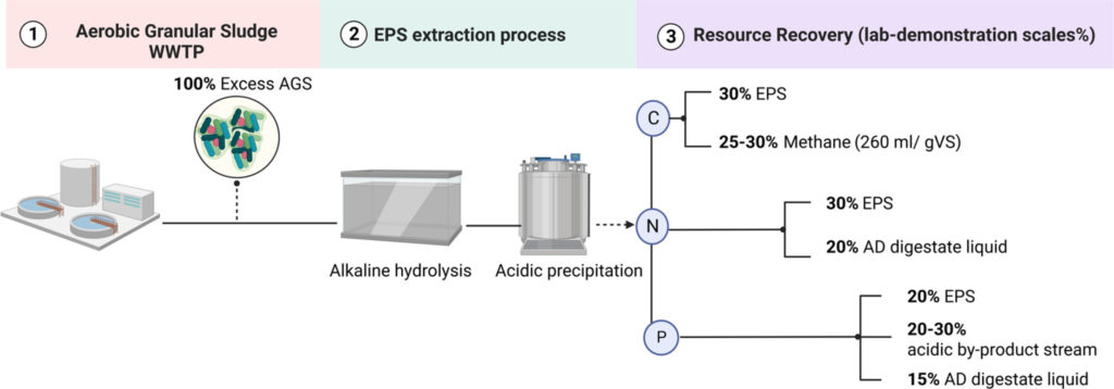 Integrated Resource Recovery from Aerobic Granular Sludge Plants ...
